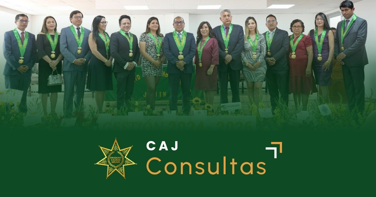 CAJ Consultas - Consultas en línea del CAJ